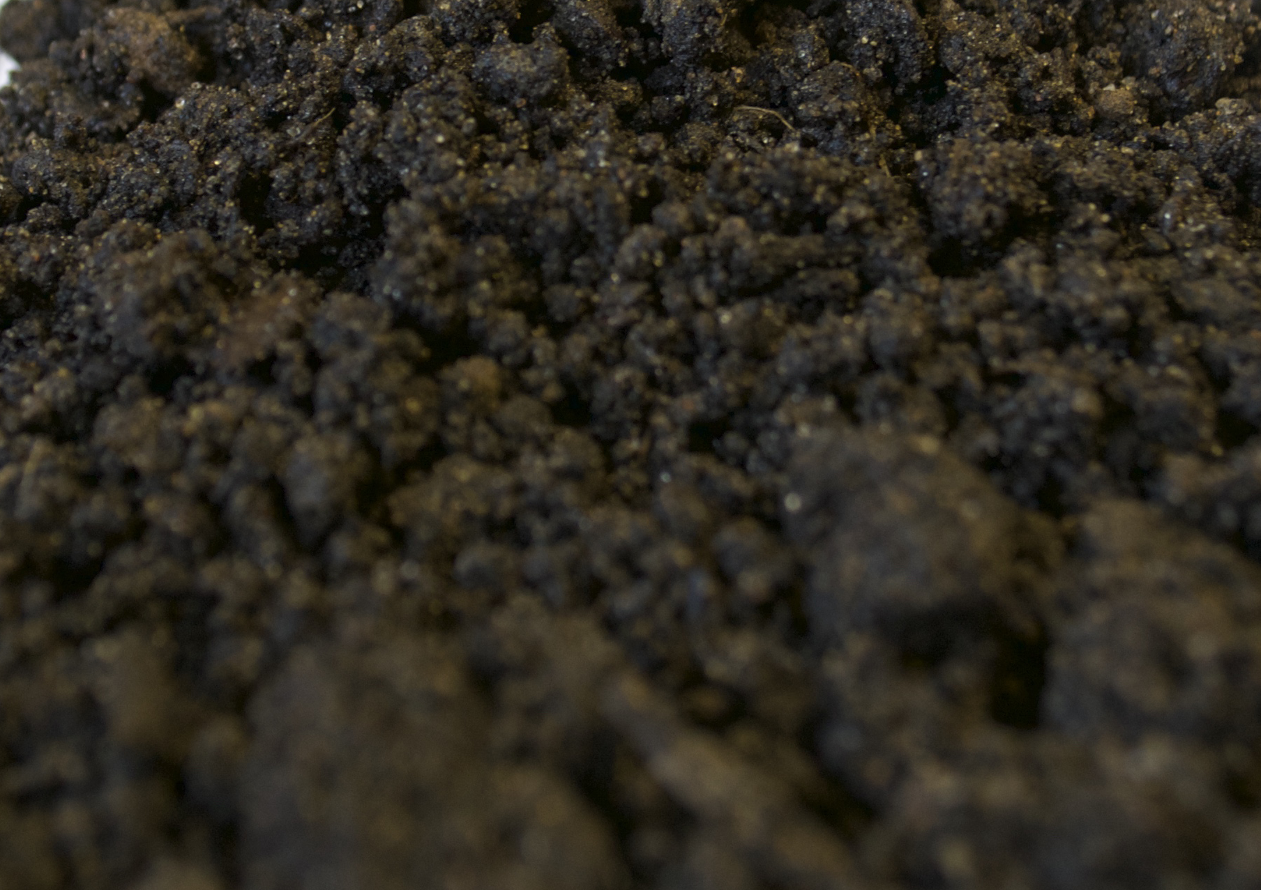 Buy Triple mix in Canada at MavisGardens.com